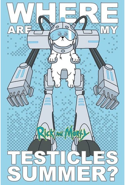 Maxi Poster Rick And Morty Where Are My Testicles Maxi Poster Rick And Morty Where Are My Testicles