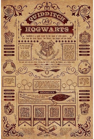 Maxi Poster Harry Potter Quidditch At Hogwarts