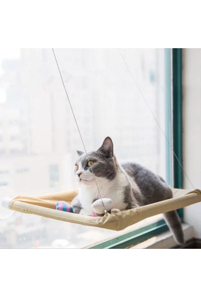 Arsimo Cama Yapışan Kedi Yatağı