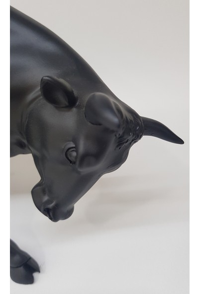 Kare Home Kadıköy Boğa Biblo