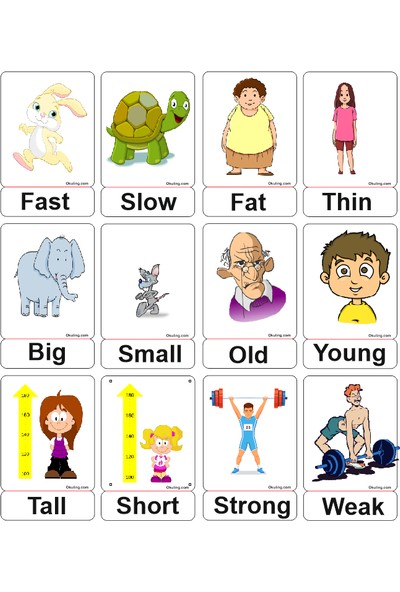 Manyetik İngilizce Kelime Kartları Opposites- Zıt Kavramlar