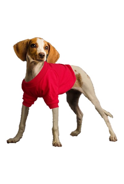 Stylie Kırmızı Kedi Köpek Giysisi S-5xl Stylie Kırmızı Kedi Köpek Giysisi S-5xl
