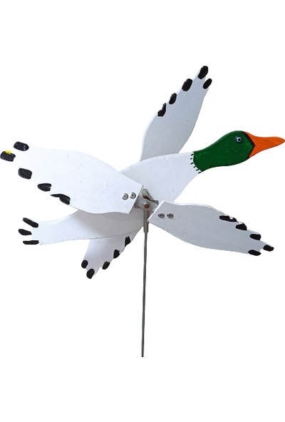 Rüzgaristan Mini Yeşil Başlı Ördek