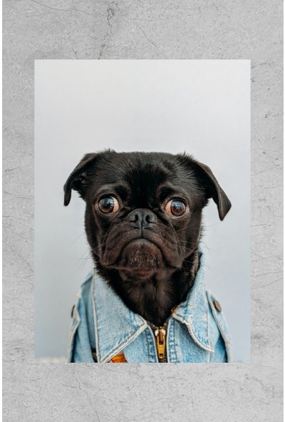 Bedesign Özel Tasarım Poster (50X70 Cm)