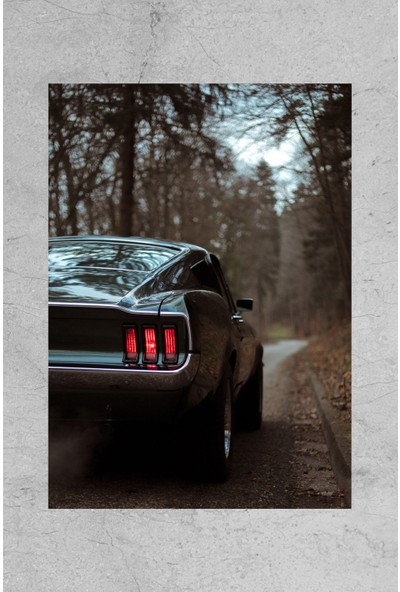 Bedesign Özel Tasarım Poster (50X70 Cm)