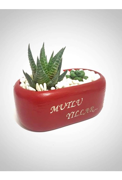 Modesign Sukulent & Kaktüs Mutlu Yıllar Yazılı Oval Saksı