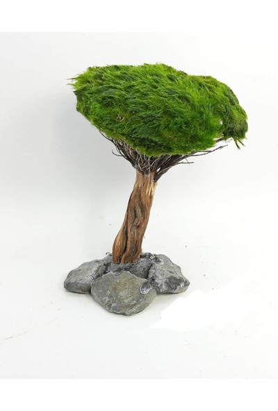 Dekor Ağaç Figürü Moss Sarılı 'm'