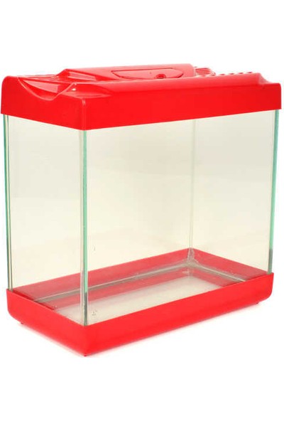Daltonlar Mini Cam Akvaryum Daltonlar Mini Cam Akvaryum