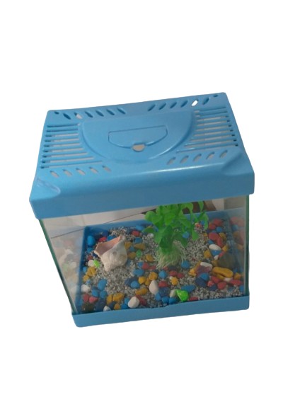 Daltonlar Mini Cam Akvaryum Daltonlar Mini Cam Akvaryum