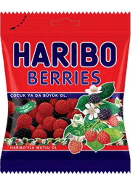 Haribo Berries 80 gr Fiyatı, Taksit Seçenekleri ile Satın Al