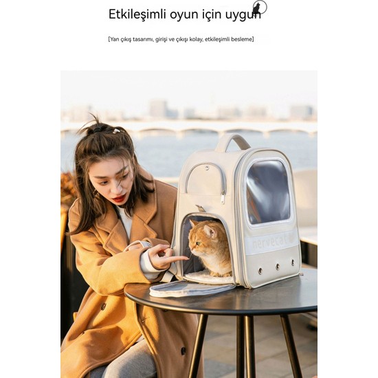 Mushen Kedi Taşıma Çantası (Yurt Dışından) Fiyatı