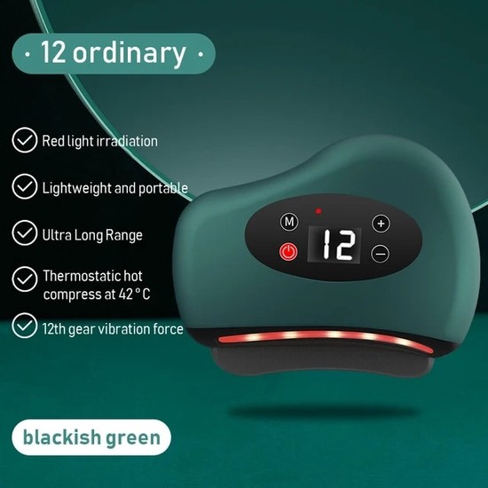 2Danlu 12 Vitesli Temel Elektrikli Gua Sha Plaka Isıtma Küçük Masaj Yüz ...