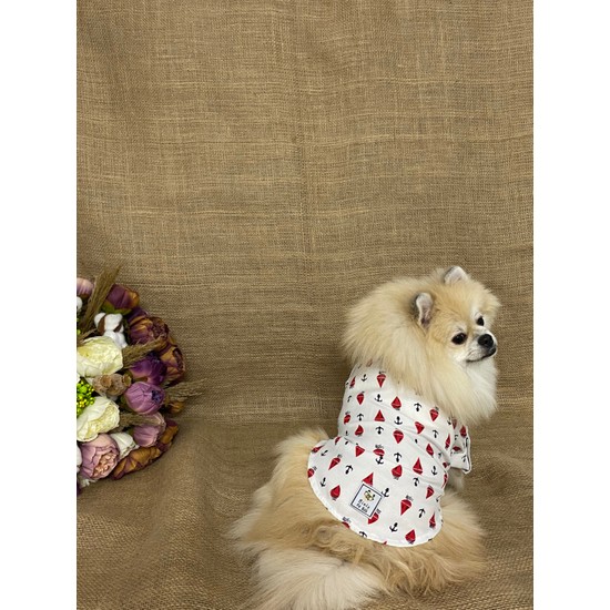 Maria Pet Fashion Köpek Kedi Kıyafeti & Elbisesi & Gömlek Fiyatı