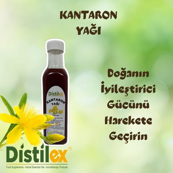 Distilex Kantaron Yağı 250 ml Zeytin Yağını Taşıyıcı Olarak Fiyatı