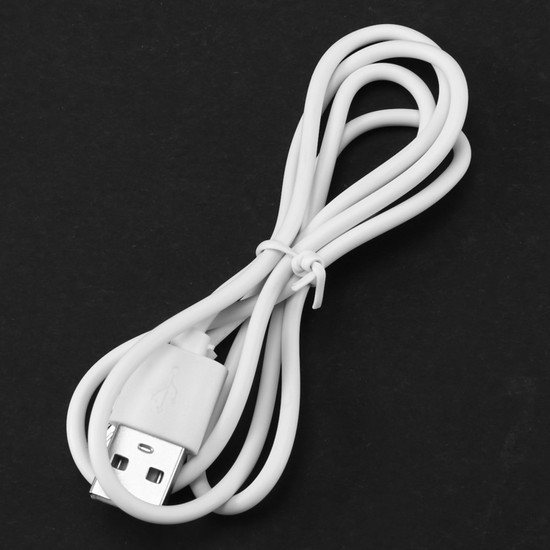 Humble Trophy Kalem Tutucu Masa Lambası, Masaüstü Lambası Fiyatı