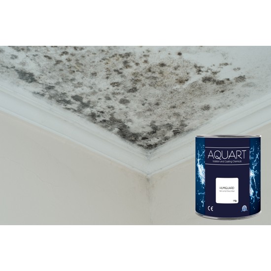 Aquart Humiguard Nem ve Rutubet Boyası Fiyatı - Taksit Seçenekleri