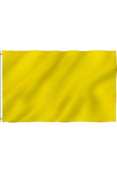 Dry Cankurtaran Bayrağı - Havuz Bayrak Sarı