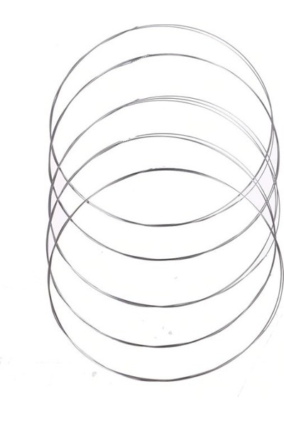 Longmoon STT020-5 Bağlama Tek Tel Ince -5 Adet 0.20 Numara Longmoon STT020-5 Bağlama Tek Tel Ince -5 Adet 0.20 Numara
