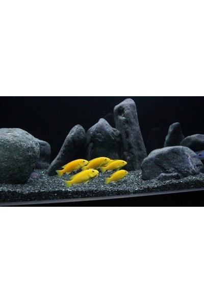 Dutak Akvaryum Kumu Bazalt 5 kg (1-3 Mm) - (2-4 Mm) Bitki Kumu Dutak Akvaryum Kumu Bazalt 5 kg (1-3 Mm) - (2-4 Mm) Bitki Kumu