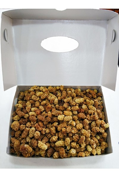 Organik Bahçem Dut Kurusu 1 kg