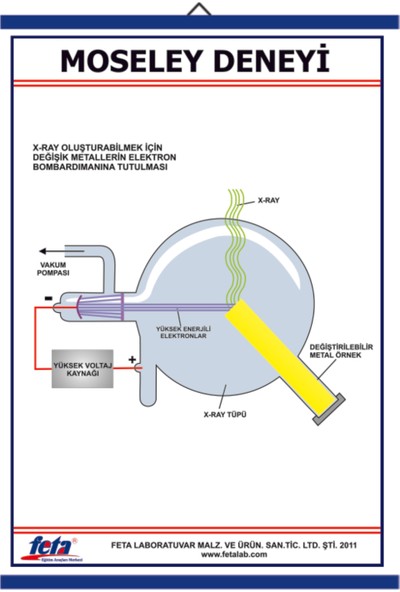 Edulab Moseley Deneyi Levhası 70 x 100 cm Edulab Moseley Deneyi Levhası 70 x 100 cm