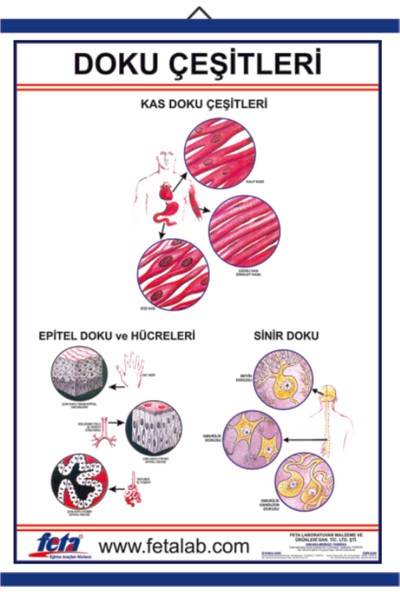 Edulab Doku Levhası