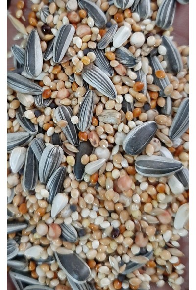 İksir Prof Kuş Mamasi Papağan Yemi 1 kg İksir Prof Kuş Mamasi Papağan Yemi 1 kg