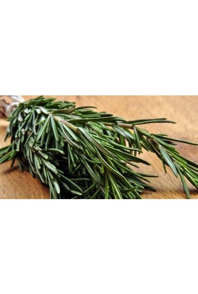 Murat Tohum Biberiye Tohumu (Rosmarinus) 25 Adet Tohum