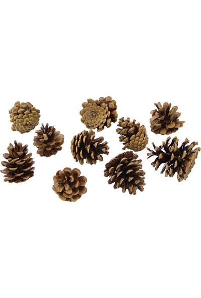 toptancicek Kozalak 10 Lu Paket Naturel