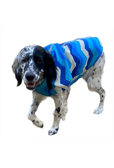 Kemique Blue Waves Su Itici Köpek Yağmurluğu , Orta ve Büyük Irklar Için Yağmurluk Kemique Blue Waves Su Itici Köpek Yağmurluğu , Orta ve Büyük Irklar Için Yağmurluk