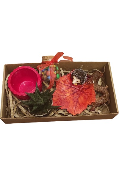 Dilek Dükkanı Yılbaşı Sevgililer Günü Doğum Günü Kaktüs Sukulent Konseptli Hediye Kutusu Model No:11 Dilek Dükkanı Yılbaşı Sevgililer Günü Doğum Günü Kaktüs Sukulent Konseptli Hediye Kutusu Model No:11