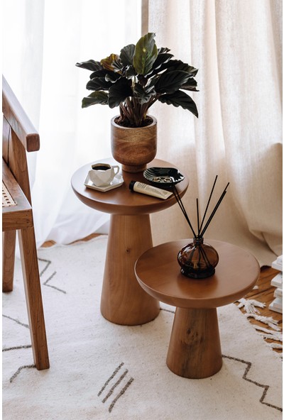 Tuca's Home Mushroom 3 Ceviz Midi Yan Sehpa Tuca's Home Mushroom 3 Ceviz Midi Yan Sehpa