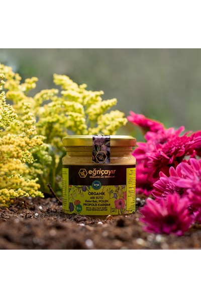 Eğriçayır Organik Arı Sütü Bal Polen Propolis Karışımı 240 gr