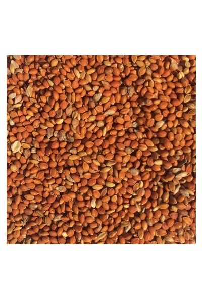 İksir Prof Kızıl Darı 1 kg İksir Prof Kızıl Darı 1 kg