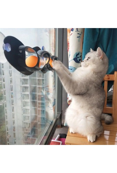 Rennway Zampa Iki Toplu Vantuzlu Kedi Oyun Tüneli Rennway Zampa Iki Toplu Vantuzlu Kedi Oyun Tüneli