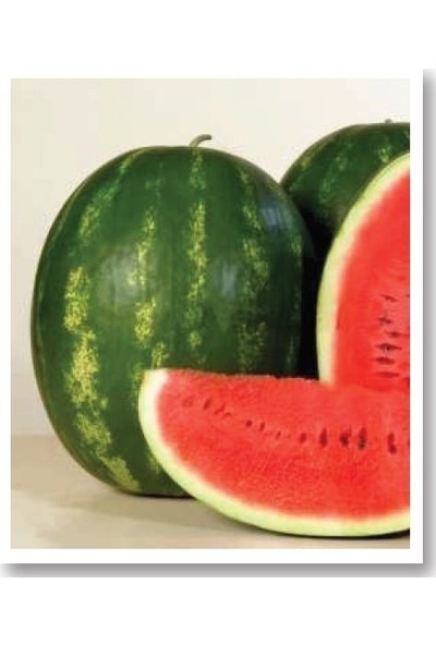 Mitofarm Crimson Sweet Karpuz Tohumu 25 Gr.