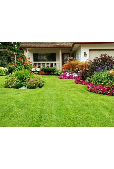 Murat Tohumculuk Murat Tohum 3lü Karaşım Ithal Çim Tohumu 250 Gram Tohum Murat Tohumculuk Murat Tohum 3lü Karaşım Ithal Çim Tohumu 250 Gram Tohum