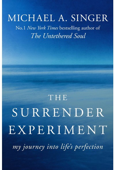 The Surrender Experiment - Michael A. Singer