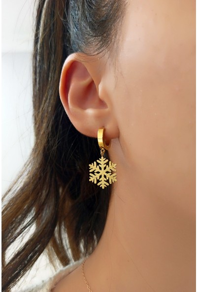 ÇLK Accessories Çelik Taşlı Kar Tanesi Küpe TRKÜPE3482 B34003