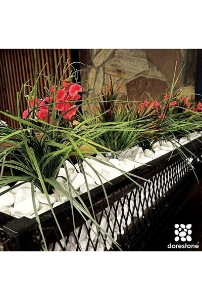 Dorestone Tamburlanmış Beyaz Dolomit Taşı 25 kg 40-60 mm Doğal Taş Dorestone Tamburlanmış Beyaz Dolomit Taşı 25 kg 40-60 mm Doğal Taş