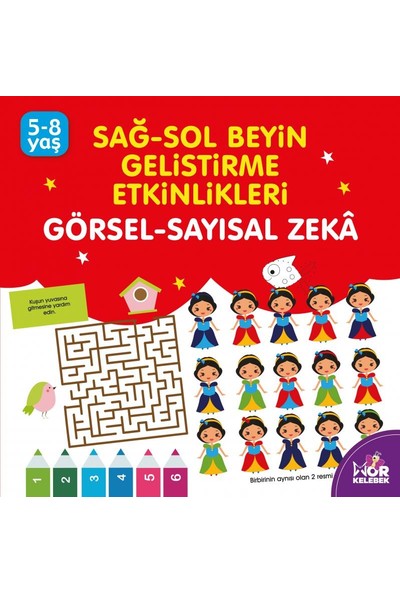 Görsel Sayısal Zeka - Sağ-Sol Beyin Geliştirme Etkinlikleri