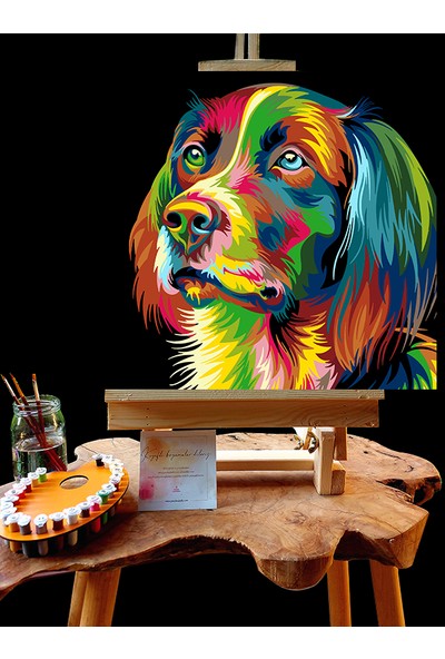 Pandora Hobi N1027 Numaralı Boyama Seti 40 x 50 cm