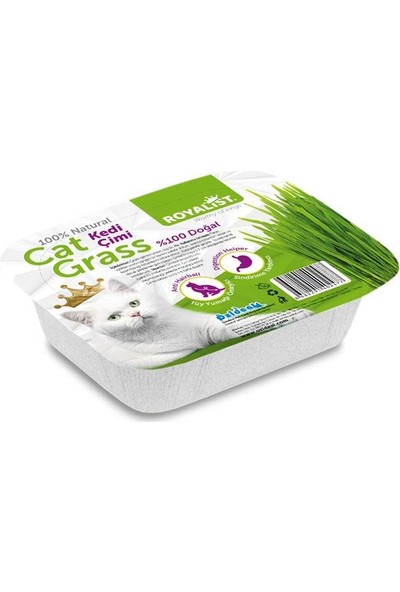 Royalist Doğal Kedi Çimi