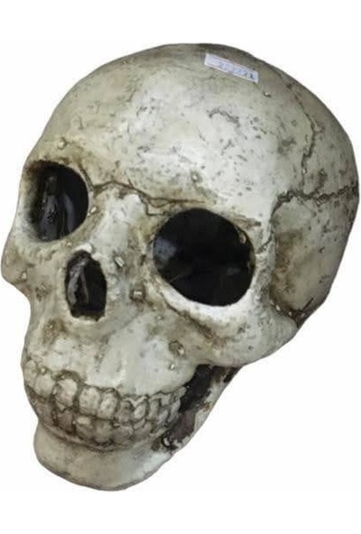 King Akvaryum Dekoru Büyük Kuru Kafa