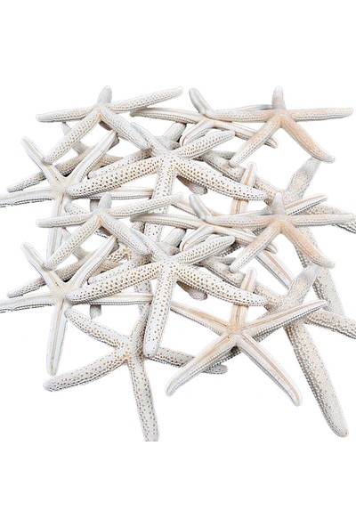 Beyaz Parmak Yıldız -7-9