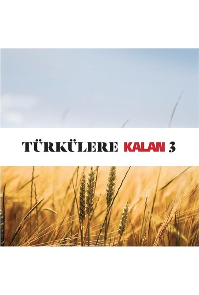 Türkülere Kalan 3 - Çeşitli Sanatçılar - 2 CD