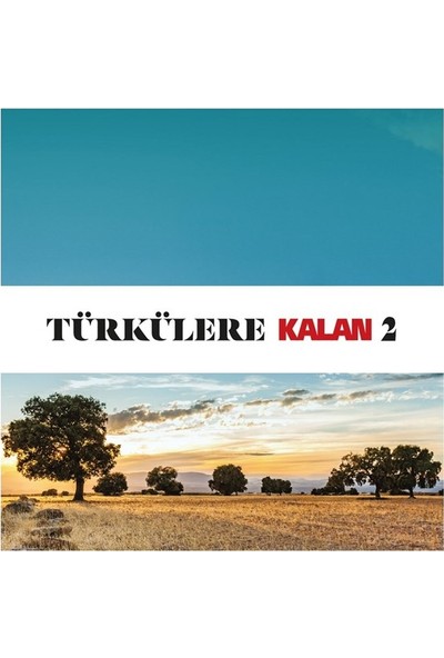 Türkülere Kalan 2 - Çeşitli Sanatçılar - 2 CD