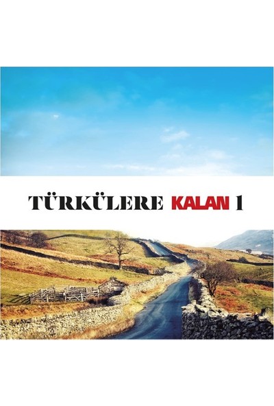 Türkülere Kalan 1 - Çeşitli Sanatçılar - 2 CD