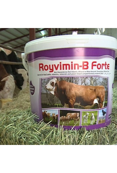 Royal İlaç Royal Royvimin B Forte Kova- 25 kg Maya + Vitamin + Mineral Royal İlaç Royal Royvimin B Forte Kova- 25 kg Maya + Vitamin + Mineral