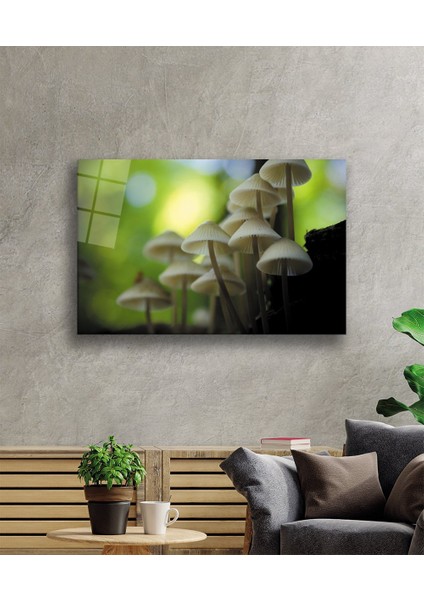 Mantar Bitki Yeşil Cam Tablo Fiyatı - Taksit Seçenekleri